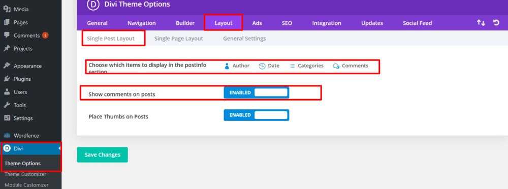 Blog Detail Page Divi Feature & Rename/Remove Projects CPT Tutorial ...