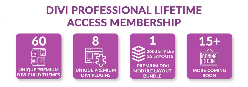 Professional Business - Divi Professional