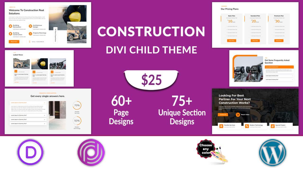 Divi Construction Theme - Divi Professional