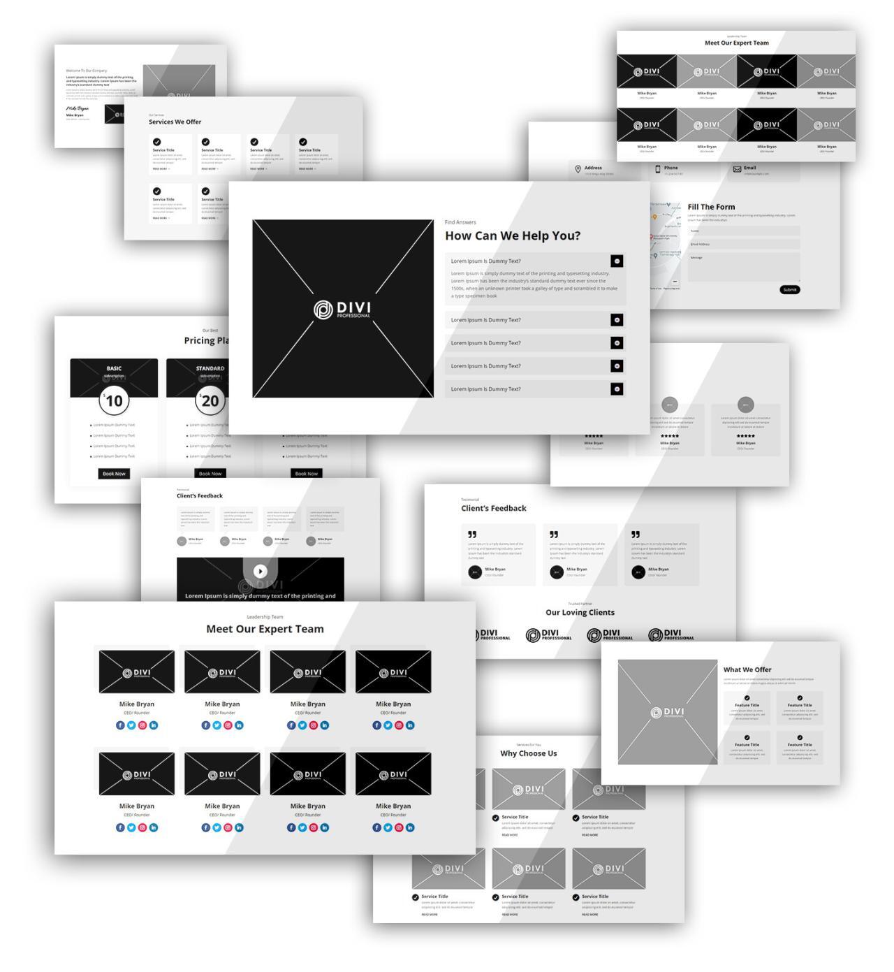 Divi Wireframe Theme - Divi Professional