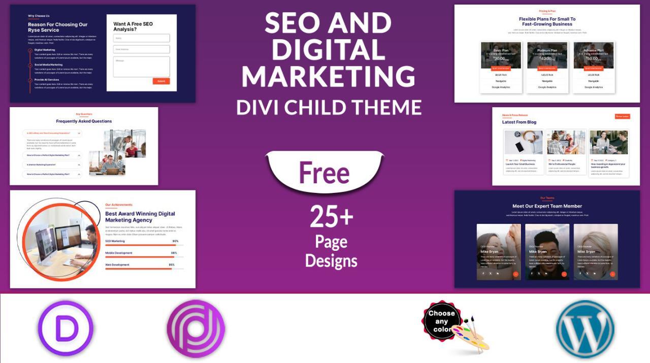 Divi SEO And Digital Marketing Theme - Divi Professional